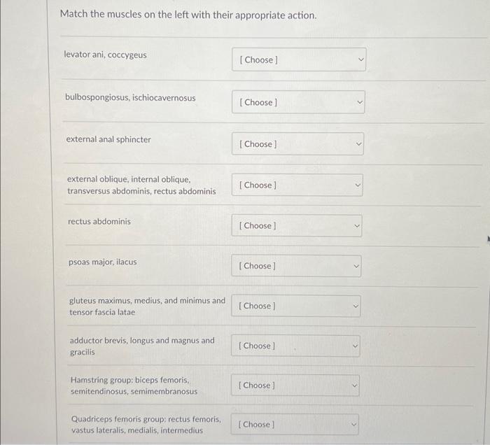 [Solved]: Match the muscles on the left to their appropriat
