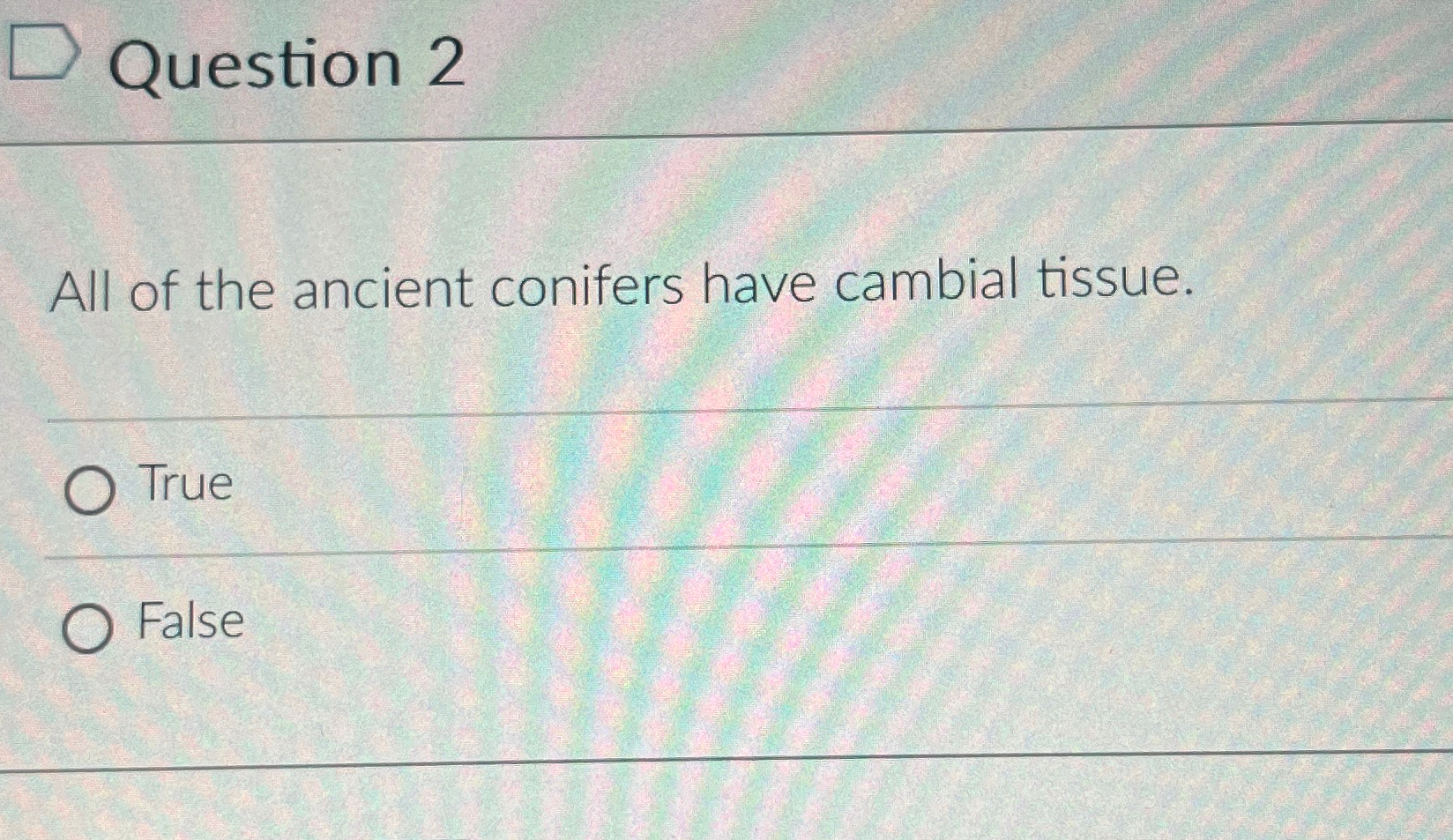 Solved Question 2All of the ancient conifers have cambial | Chegg.com