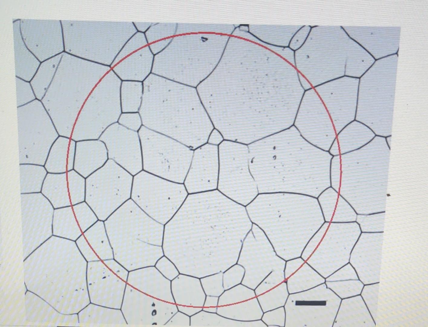 Solved Find the grain size number, G, for the microstructure | Chegg.com