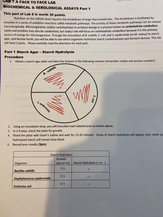 Solved 7 A FACE TO FACE LAB BIOCHEMICAL & SEROLOGICAL ASSAYS | Chegg.com
