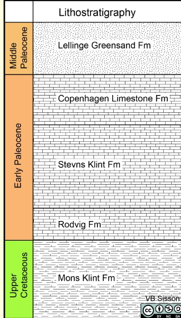 Solved What type of fossils would you find in the Mons Klint | Chegg.com