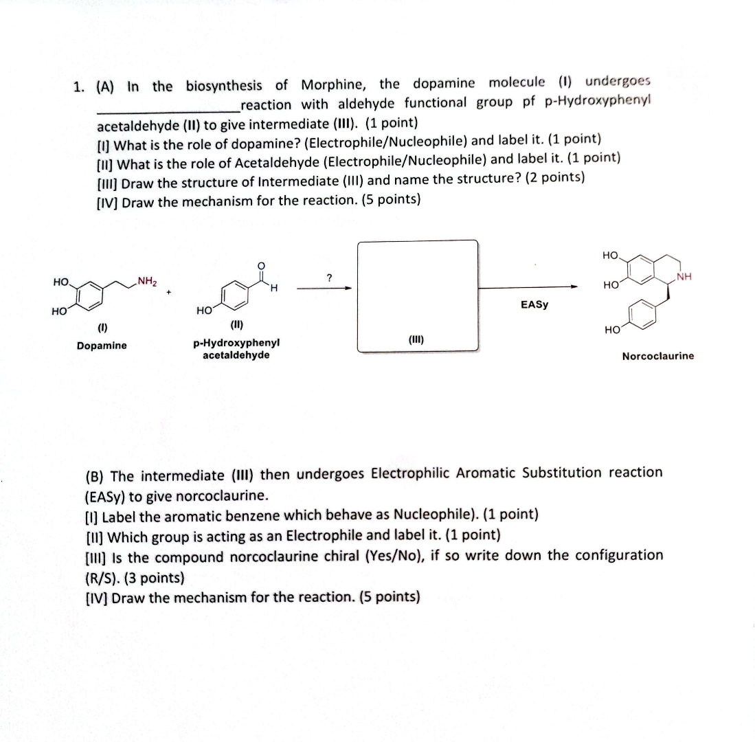 Solved (A) ﻿In the biosynthesis of Morphine, the dopamine | Chegg.com