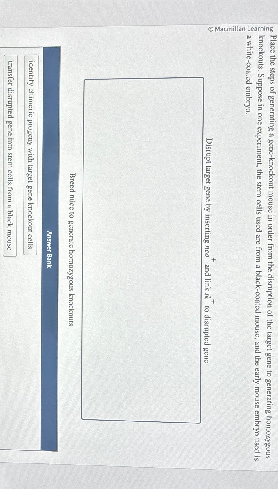 Solved Place the steps of generating a gene-knockout mouse | Chegg.com