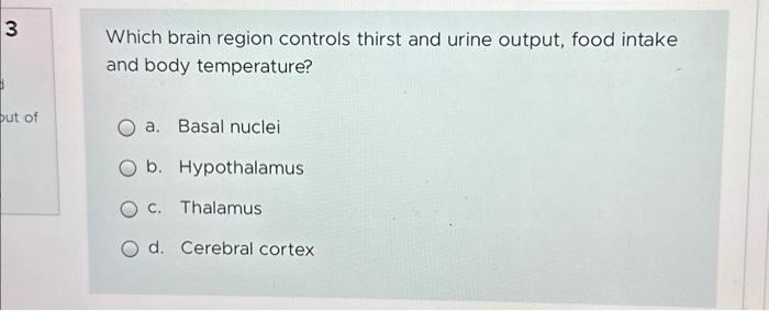 Solved Which brain region controls thirst and urine output, | Chegg.com