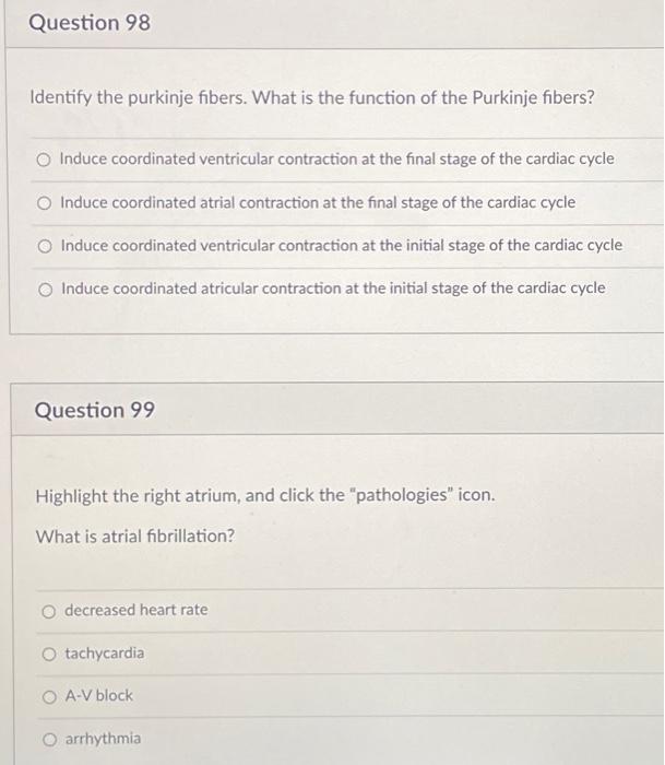 Solved Identify the purkinje fibers. What is the function of | Chegg.com