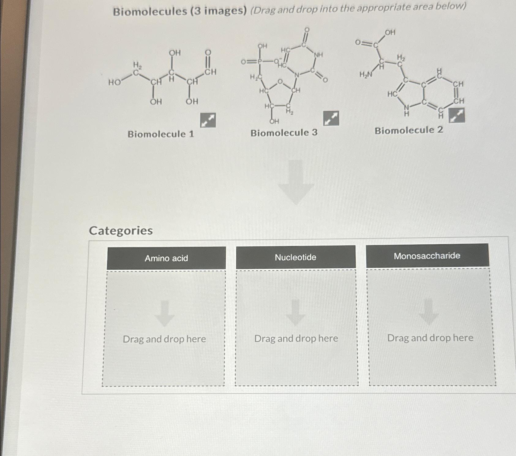 Solved Biomolecules (3 ﻿images) (Drag and drop into the | Chegg.com