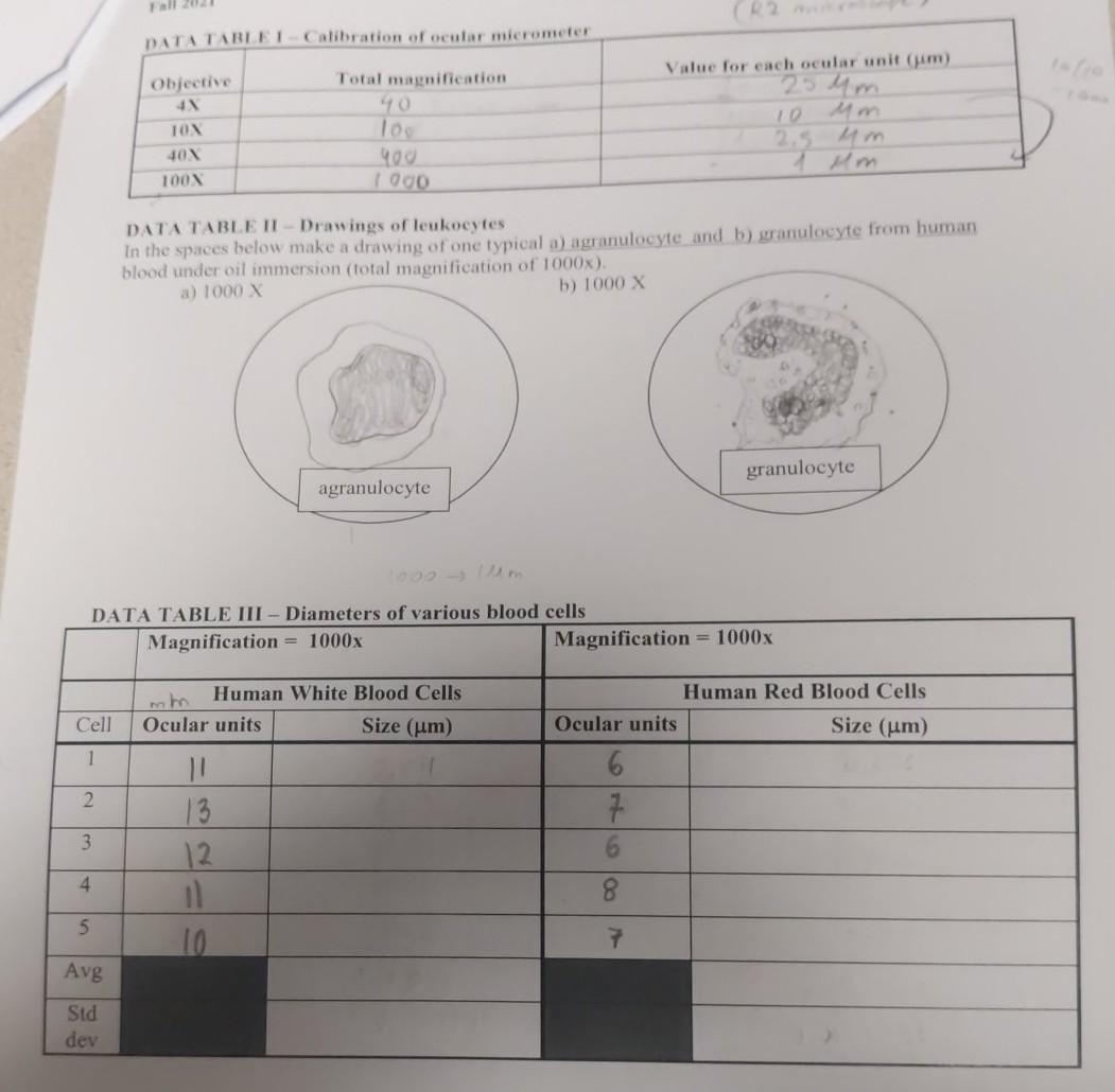 Solved Fall 2014 22 DATA TABLET Calibration of ocular | Chegg.com