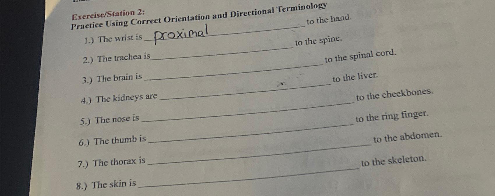 Solved Exercise/Station 2:Practice Using Correct Orientation | Chegg.com