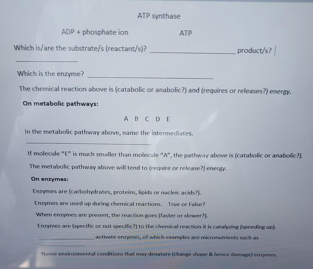 Solved ATP synthase ADP + phosphate ion ATP Which is/are the | Chegg.com