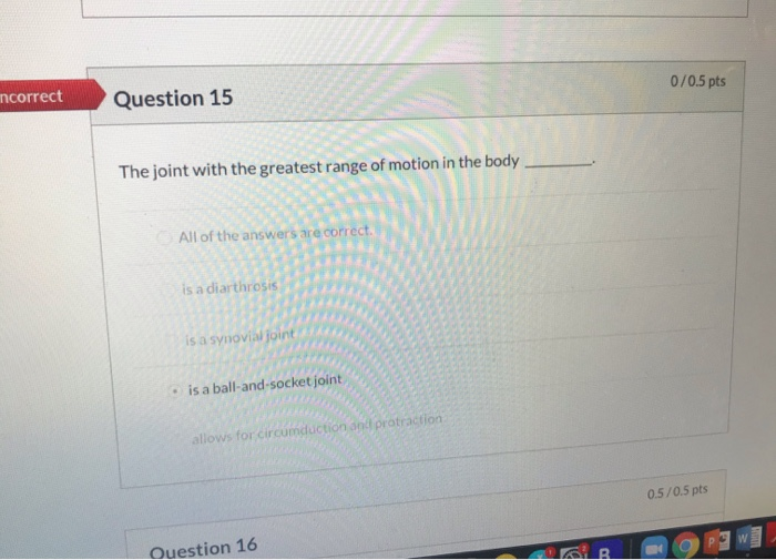 Solved Question 10 0/0.5 pts Which opening protects a | Chegg.com Solved Question 10 0/0.5 pts Which opening protects a | Chegg.com