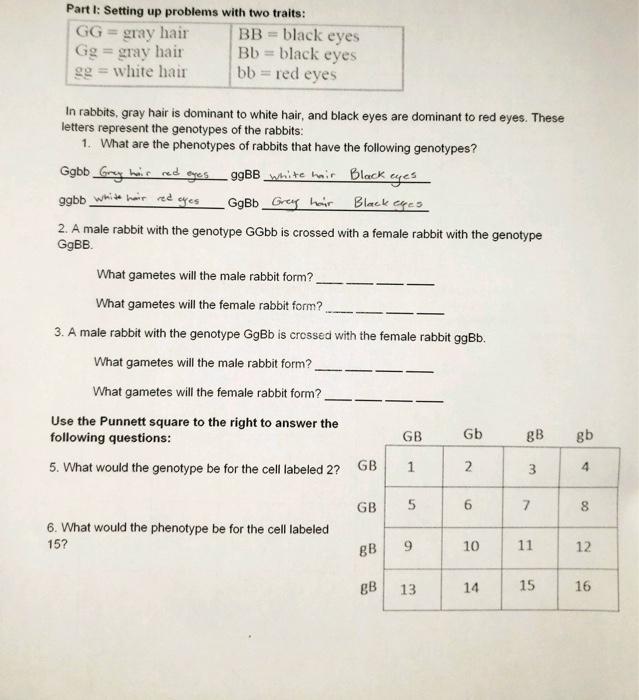 Part 1: Setting up problems with two traits: In | Chegg.com