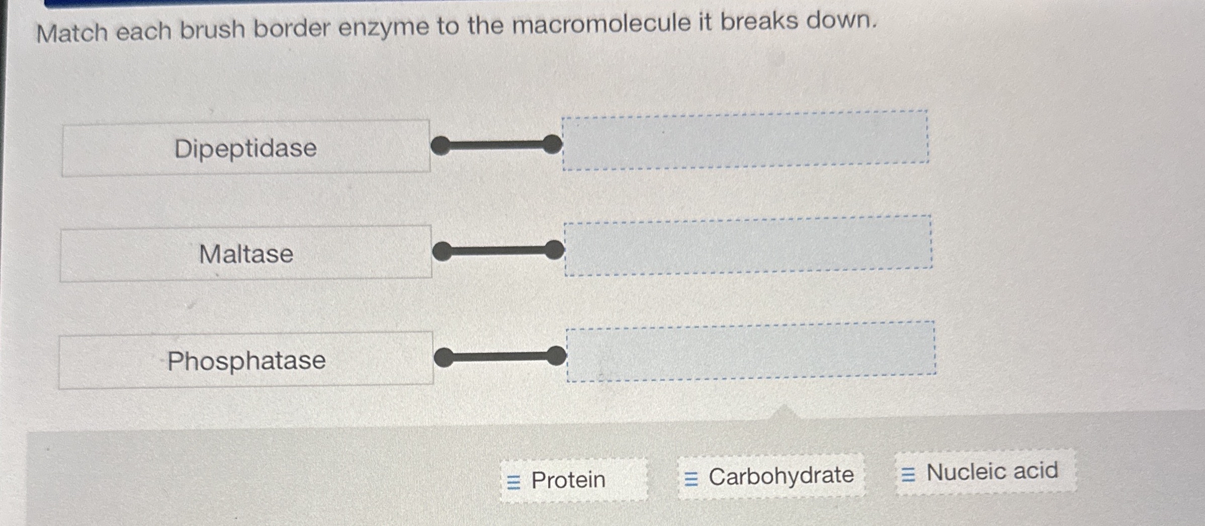 Solved Match each brush border enzyme to the macromolecule | Chegg.com