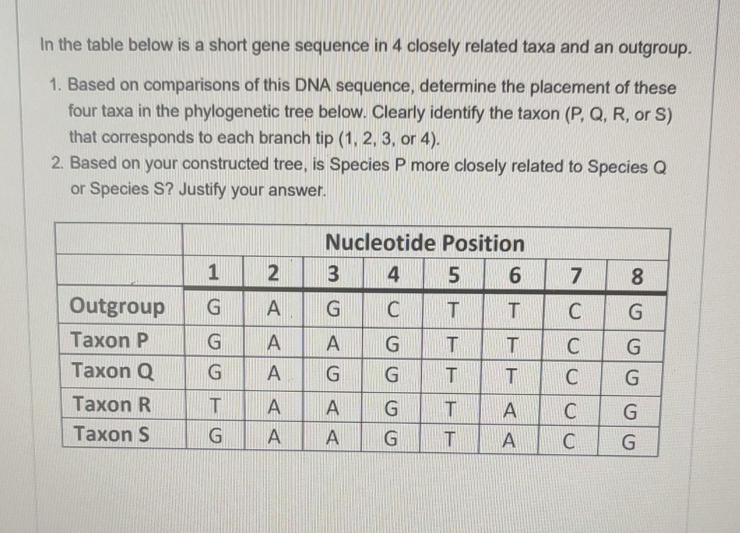 Solved In the table below is a short gene sequence in 4 | Chegg.com