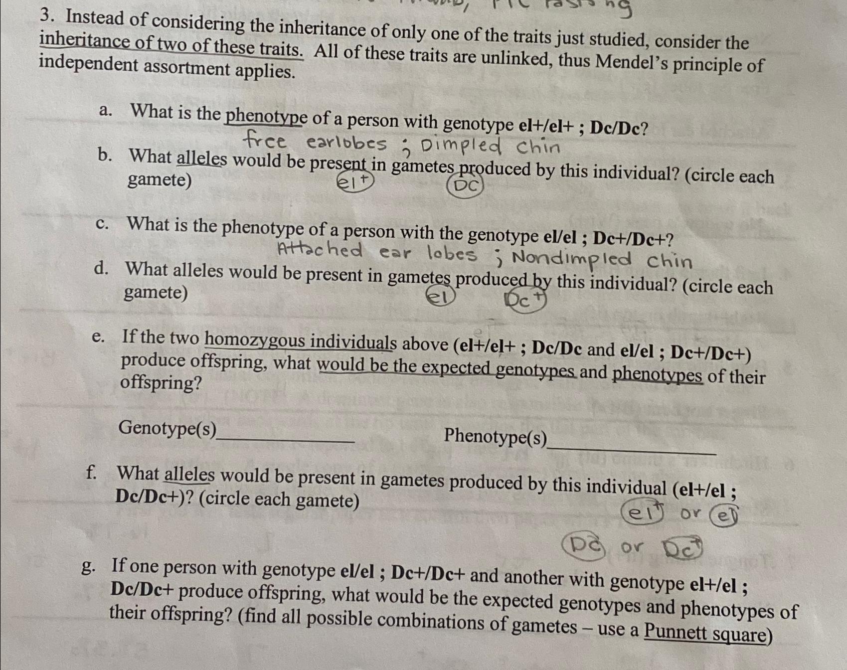 Solved Instead of considering the inheritance of only one of | Chegg.com