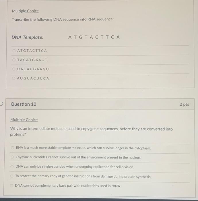 Solved Multiple Choice Transcribe the following DNA sequence | Chegg.com