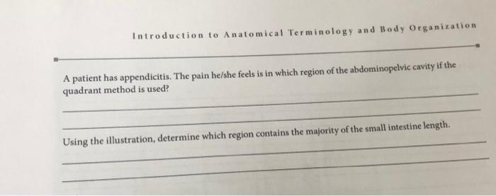 Solved EXERCISE 4. Body CAVITIES AND ORGANIZATION The human | Chegg.com