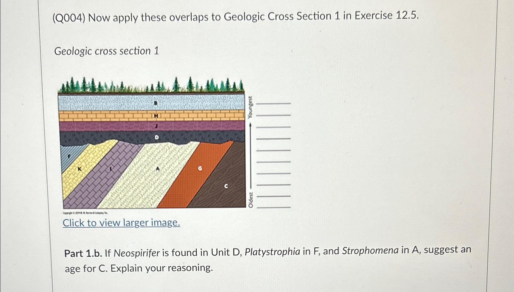 Solved (Q004) ﻿Now apply these overlaps to Geologic Cross | Chegg.com