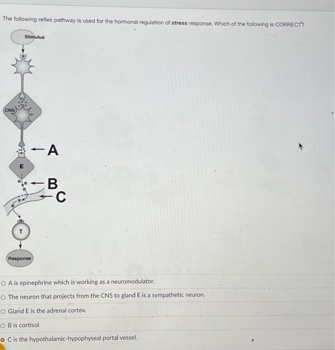 Solved The following reflex pathway is used for the hormonal | Chegg.com