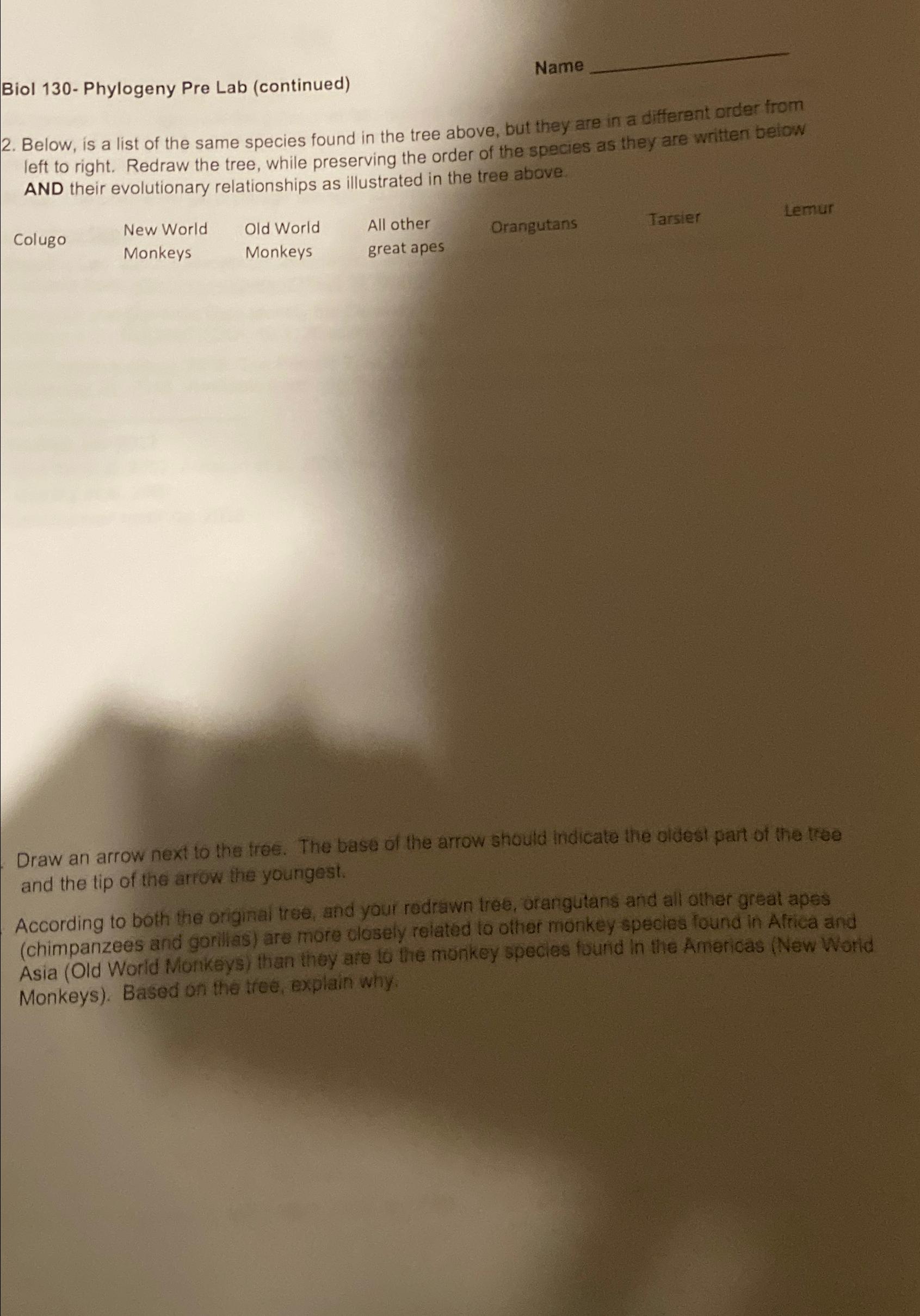 Solved Biol 130- ﻿Phylogeny Pre Lab (continued)Na2. ﻿Below, | Chegg.com