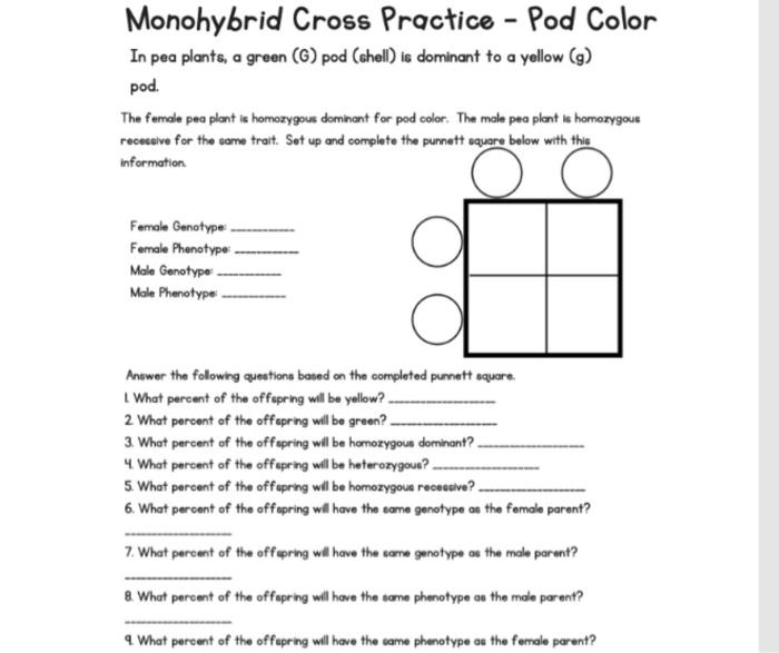 Monohybrid Cross Practice - Pod Color In pao plants, | Chegg.com
