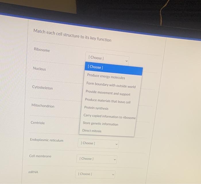 Solved Match each cell structure to its key function | Chegg.com