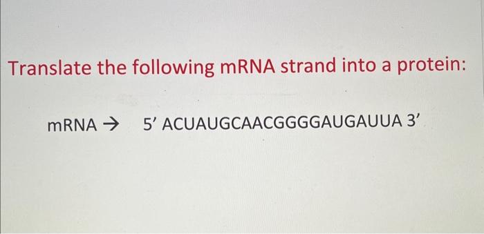 Solved Translate the following mRNA strand into a protein: | Chegg.com