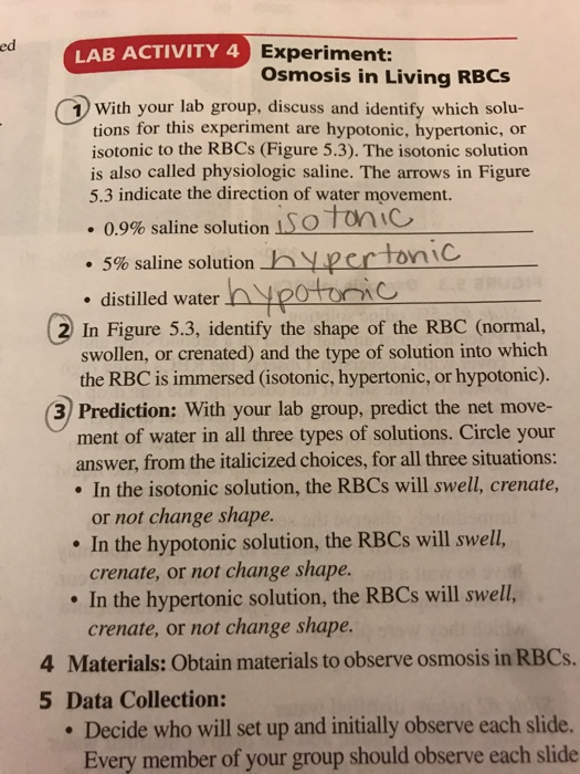 Solved ed hypotonic met LAB ACTIVITY 4 Experiment: Osmosis | Chegg.com