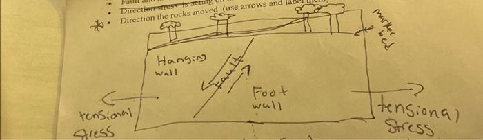 Solved does this look like a correct drawing of a normal | Chegg.com