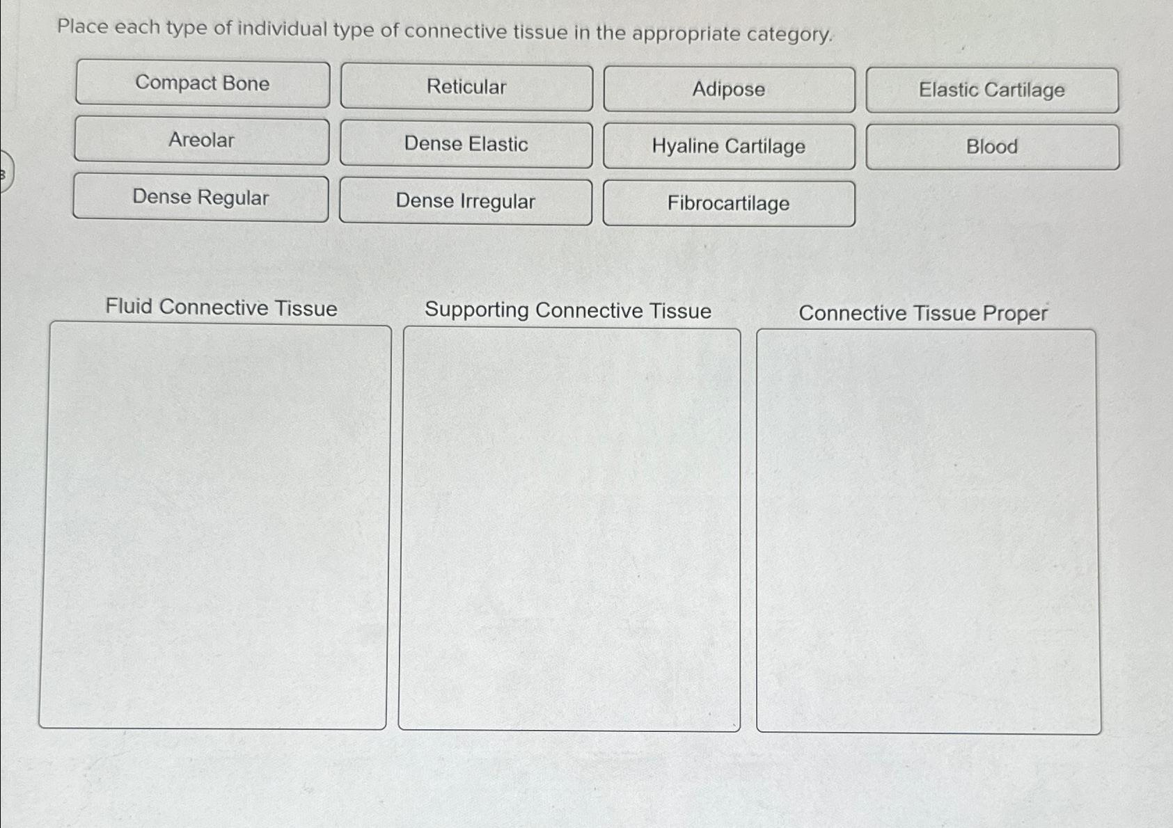 Solved Place each type of individual type of connective | Chegg.com