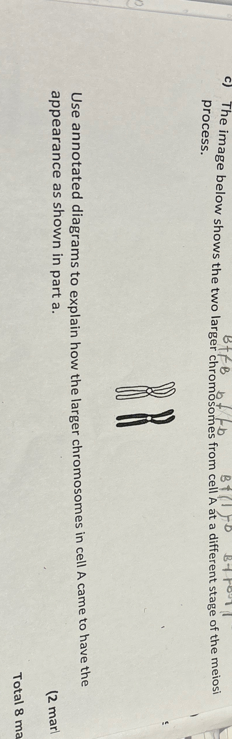 Solved C) ﻿The image below shows the two larger chromosomes | Chegg.com