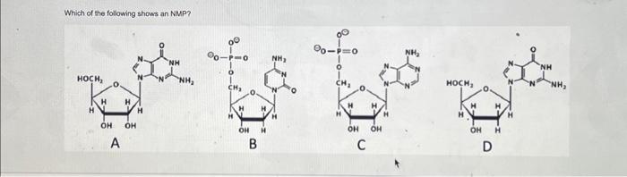 Solved Which of the following shows an NMP? | Chegg.com
