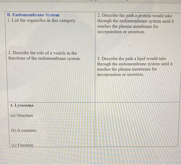 Solved B. Endomembrane System 1. List the organelles in this | Chegg.com