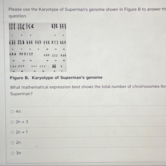 Solved Please use the Karyotype of Superman's genome shown | Chegg.com