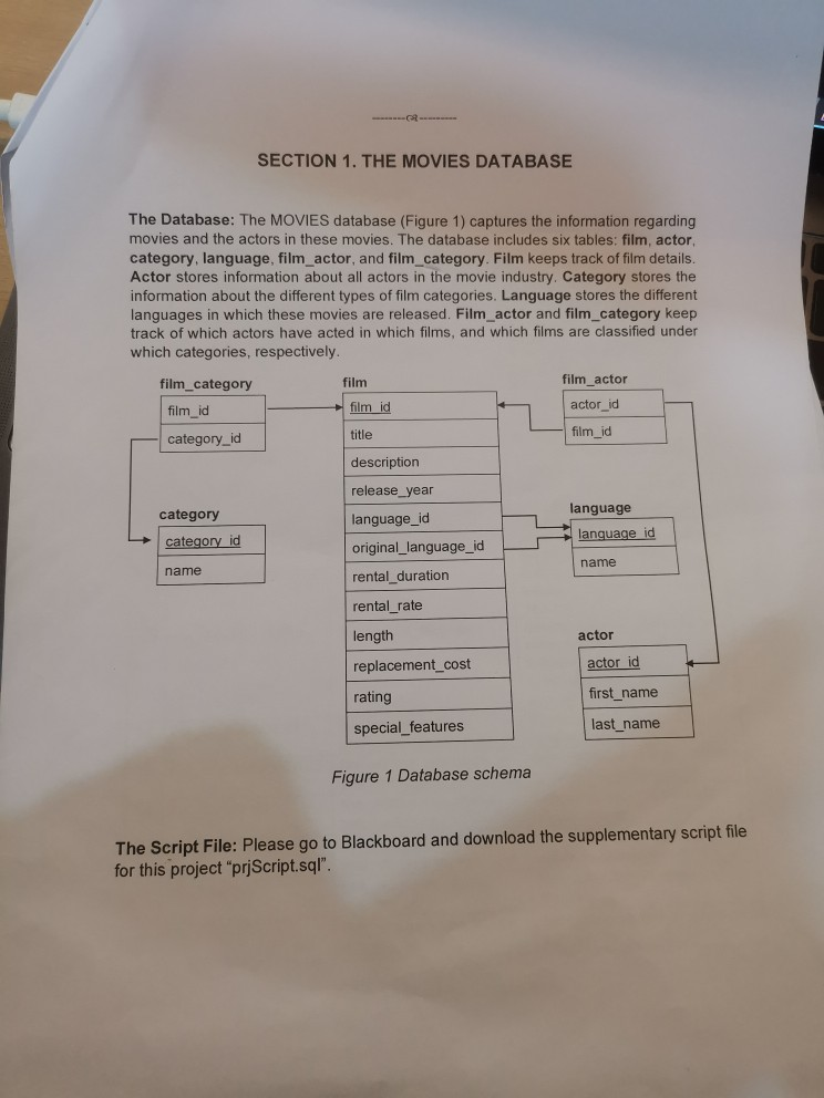 Solved SECTION 1. THE MOVIES DATABASE The Database: The | Chegg.com
