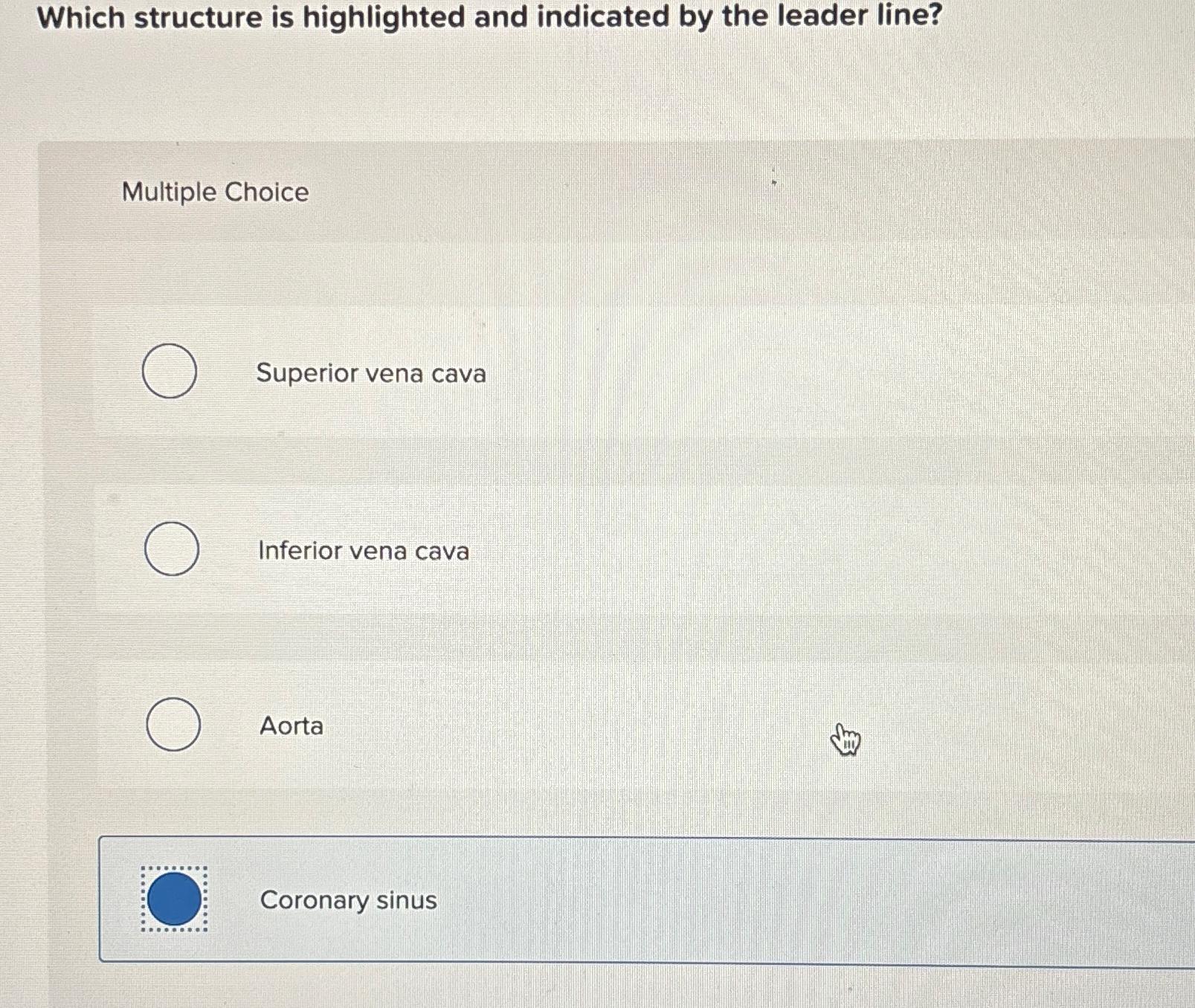 Solved Which structure is highlighted and indicated by the | Chegg.com