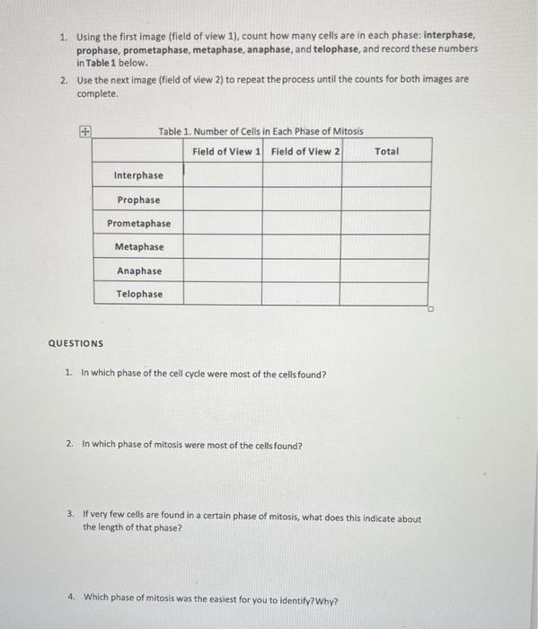 Solved Answer sheet for mitosis lab Please use this file to | Chegg.com