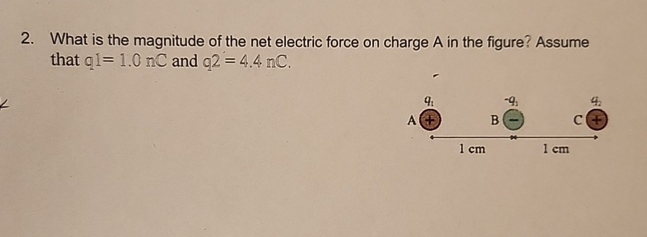 Solved What Is The Magnitude Of The Net Electric Force On
