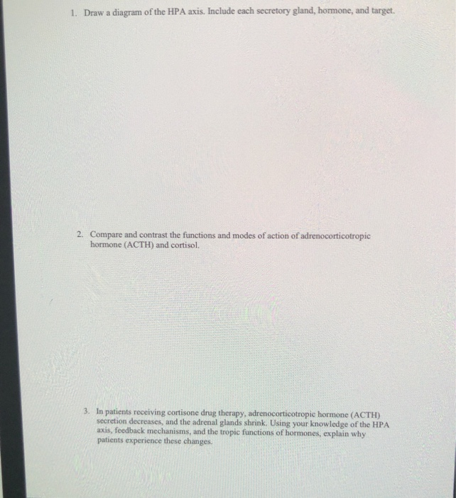 Solved Draw a diagram of the HPA axis. Include secretory | Chegg.com