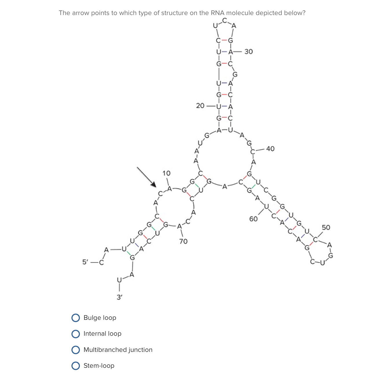 Solved The arrow points to which type of structure on the | Chegg.com