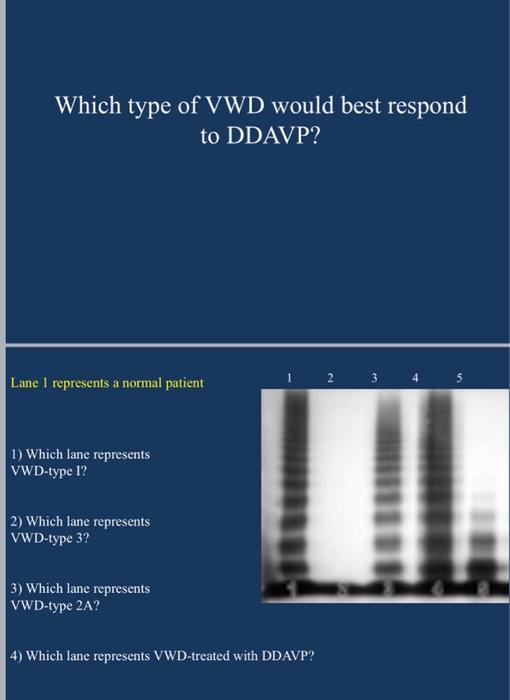 Solved Which type of VWD would best respond to DDAVP? 1 2 | Chegg.com