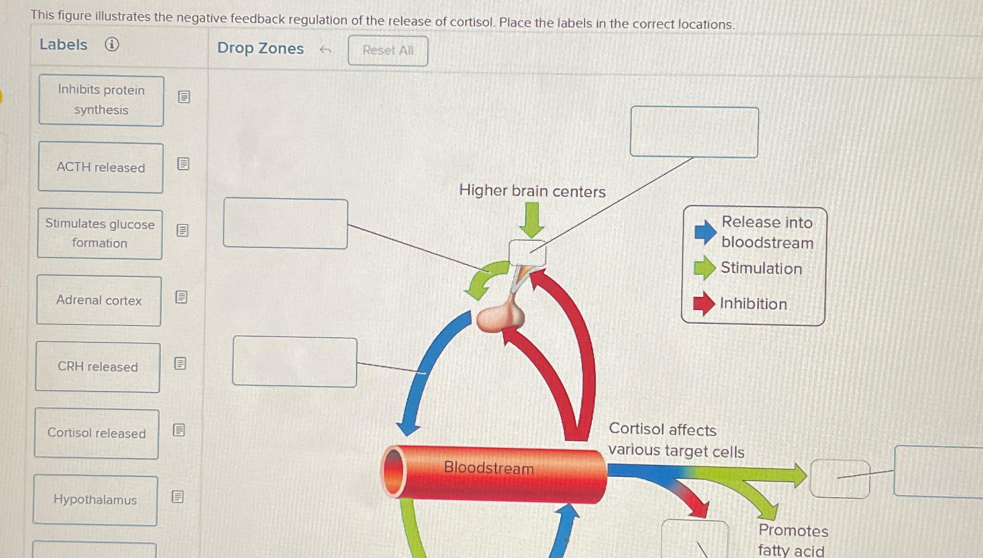 Solved This figure illustrates the negative feedback | Chegg.com