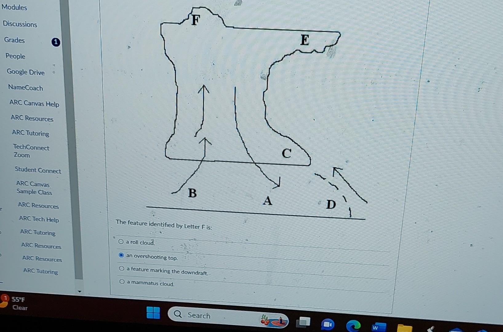 Solved The feature identified by Letter F is: a roll cloud. | Chegg.com