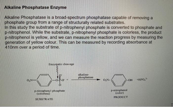 Solved Alkaline Phosphatase Enzyme Alkaline Phosphatase is a | Chegg.com