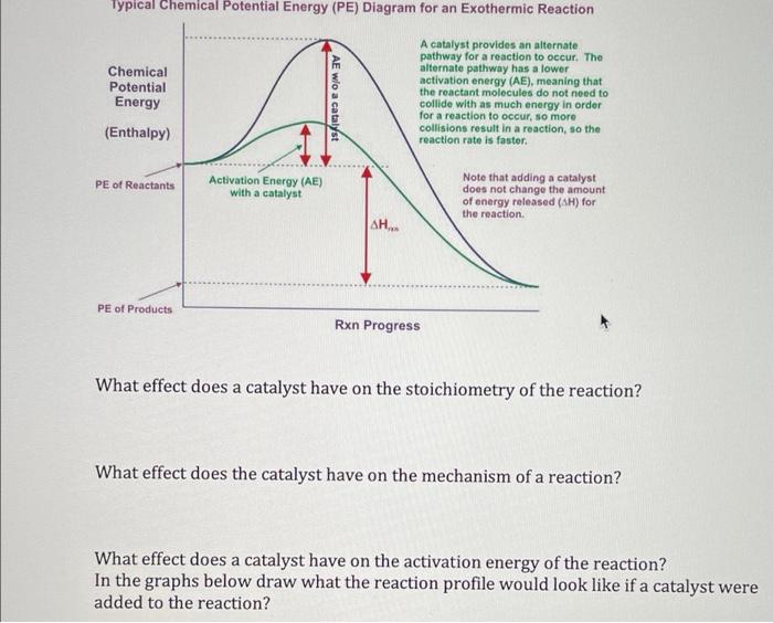 Solved Typical Chemical Potential Energy (PE) Diagram for an | Chegg.com
