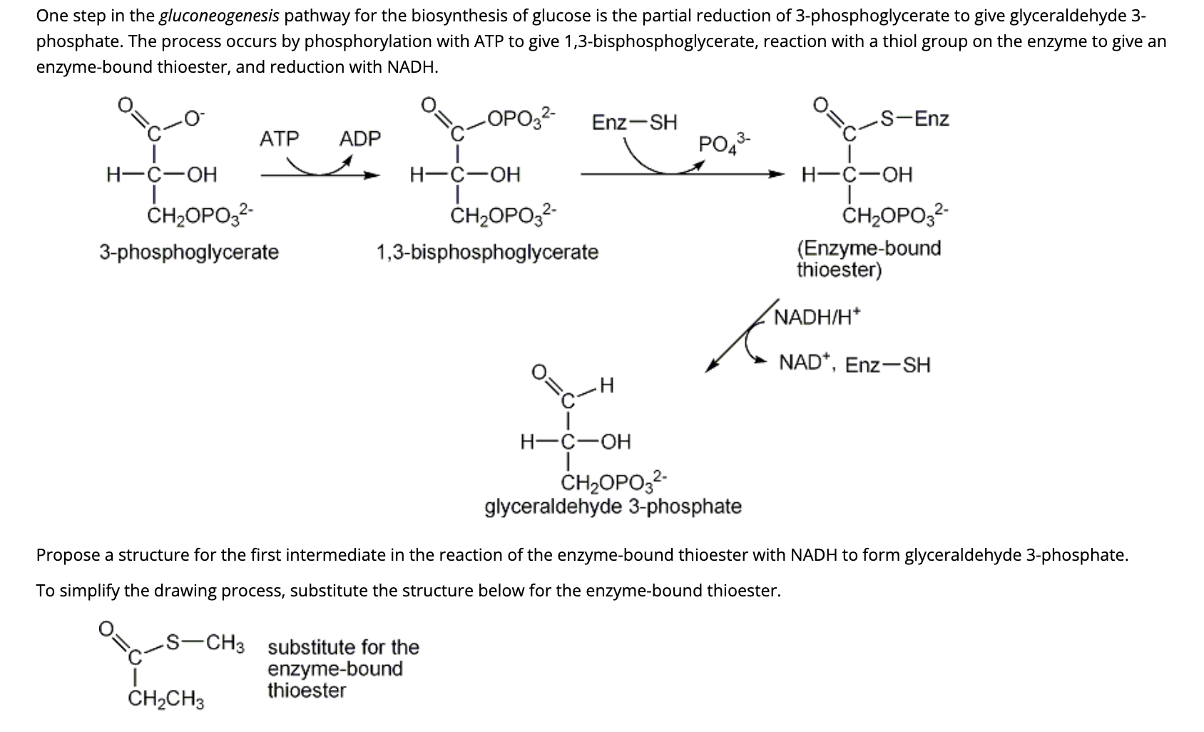 One step in the gluconeogenesis pathway for the | Chegg.com