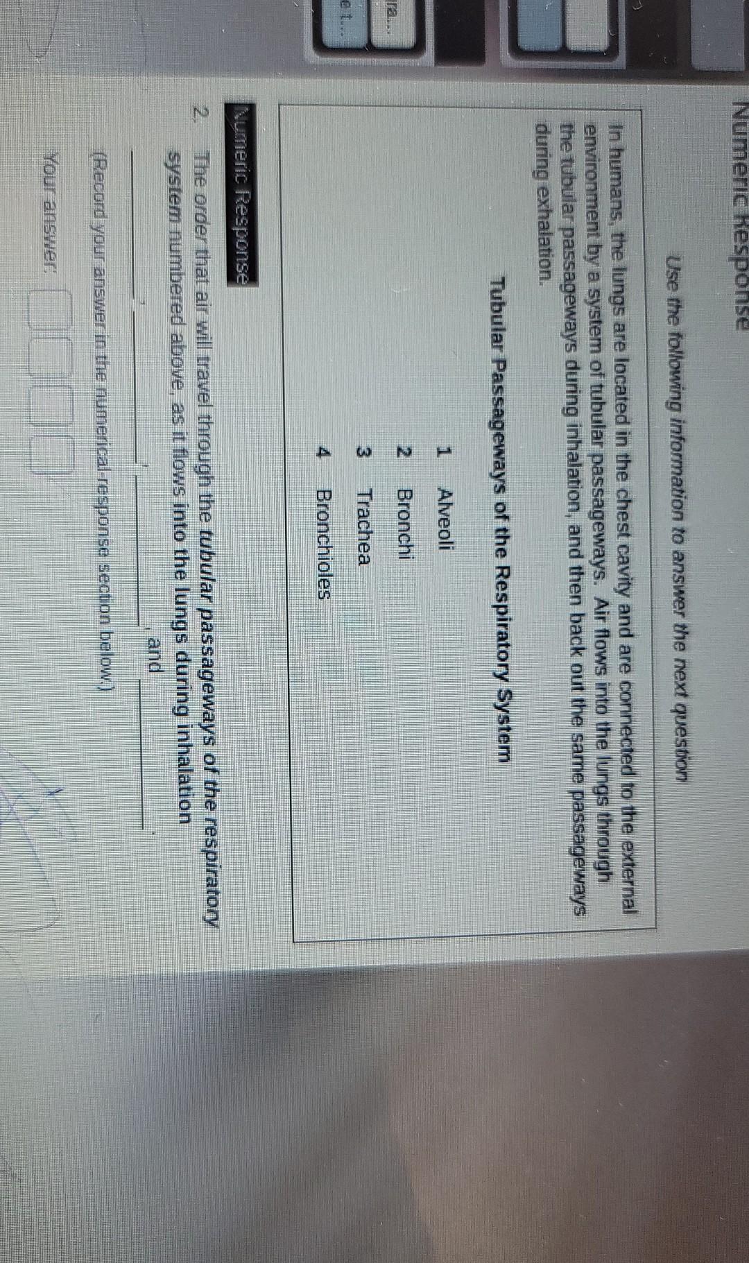 Solved Numeric Response Use the following information to | Chegg.com