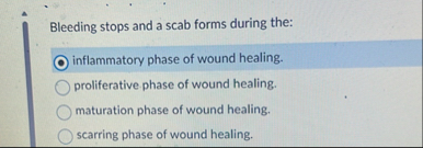 Solved Bleeding stops and a scab forms during | Chegg.com