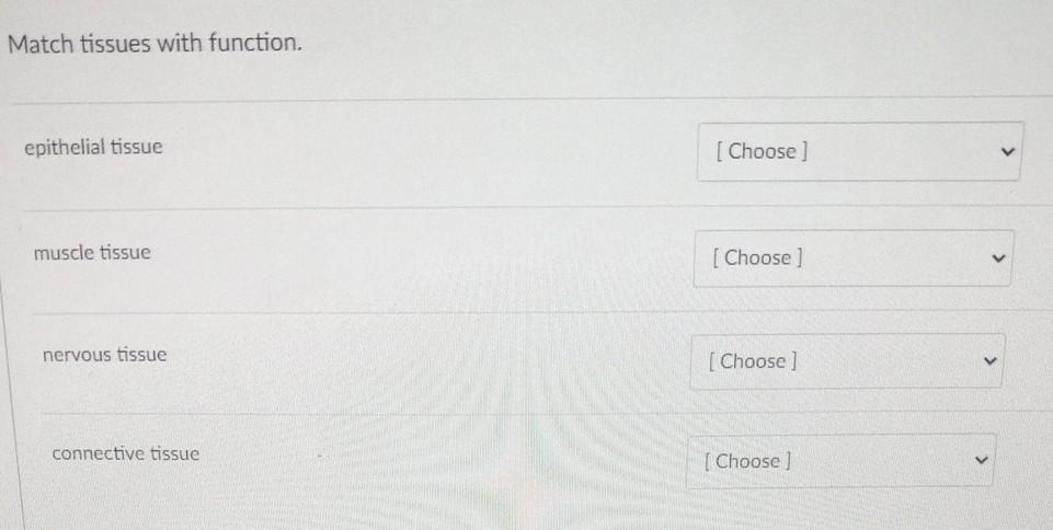 Solved Match tissues with function. epithelial tissue muscle | Chegg.com
