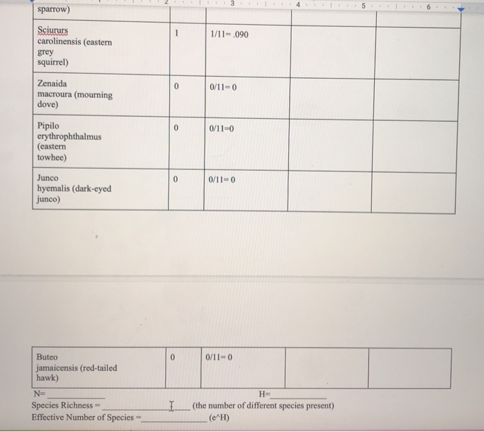 Solved Calculating the Shannon Diversity Index and Effective | Chegg.com