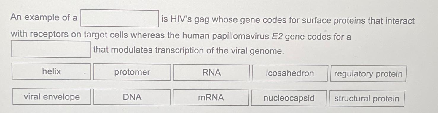 Solved An example of a is HIV's gag whose gene codes for | Chegg.com